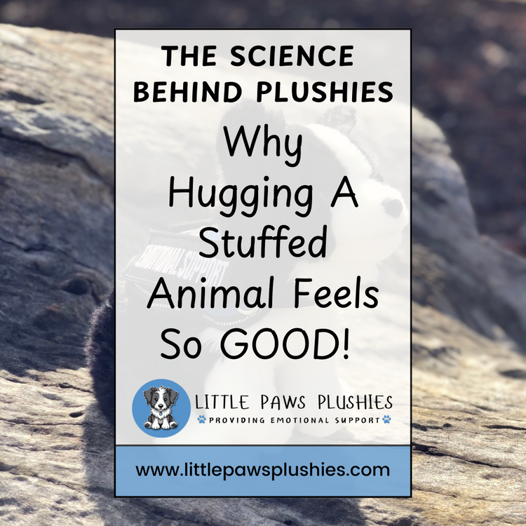 The Science Behind Plushies: Why Hugging a Stuffed Animal Feels So Goo ...