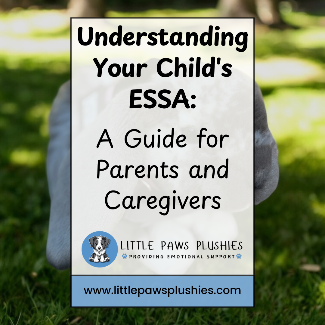 Understanding Your Child's ESSA: A Guide for Parents and Caregivers ...