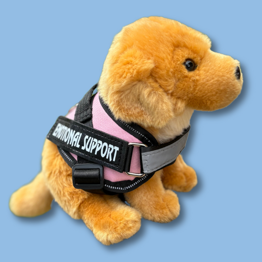 Little Paws Plushies | Emotional Support Stuffed Animals