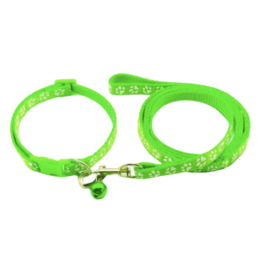 Collar & Leash Set | Assorted Colours | ESSA Gear – Little Paws Plushies