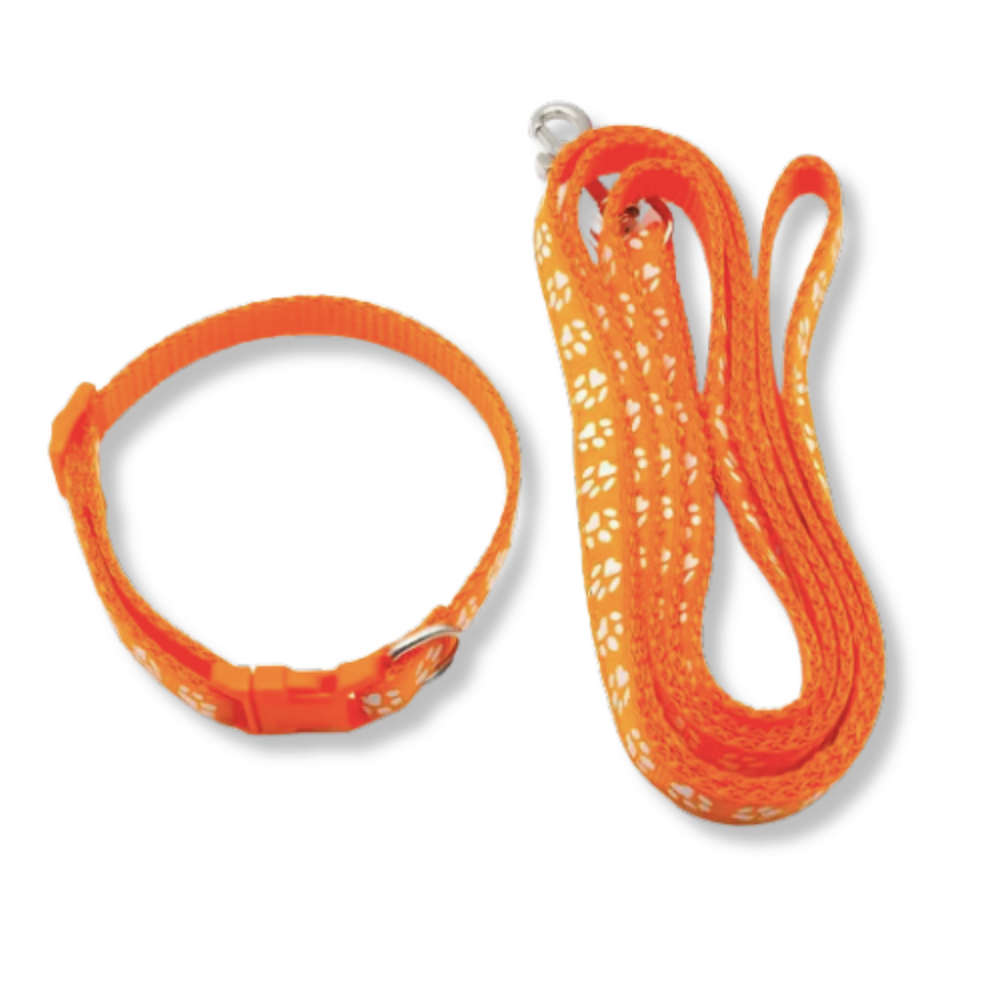Collar & Leash Set | Assorted Colours | ESSA Gear – Little Paws Plushies