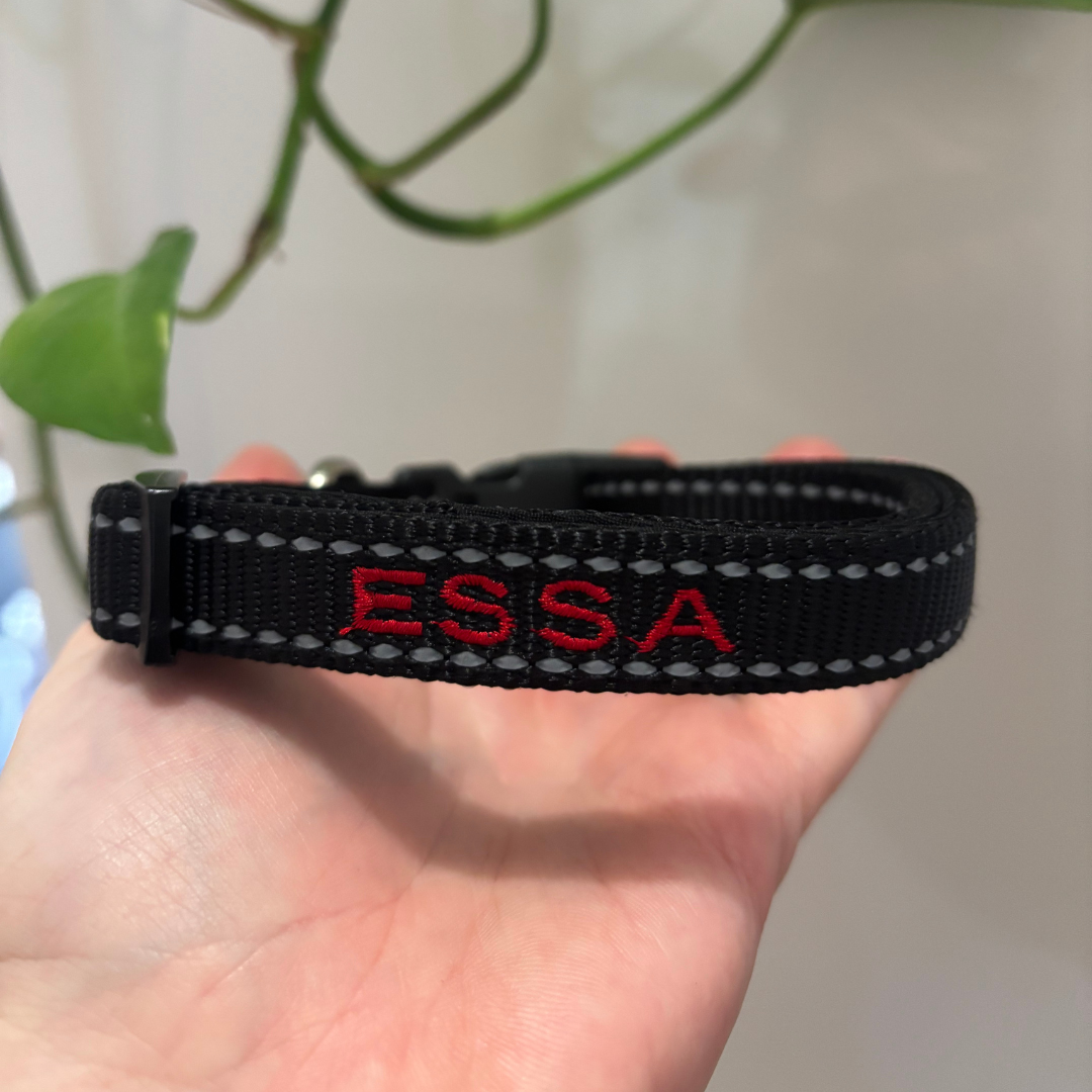 Emotional Support Collar | Assorted Colours – Little Paws Plushies