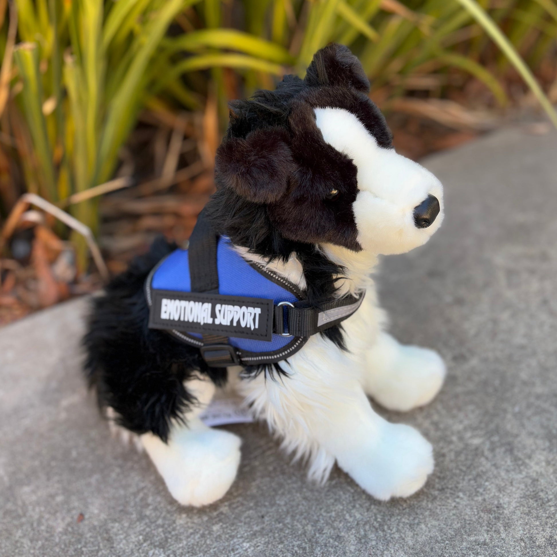 Chase Border Collie | Douglas Dog – Little Paws Plushies