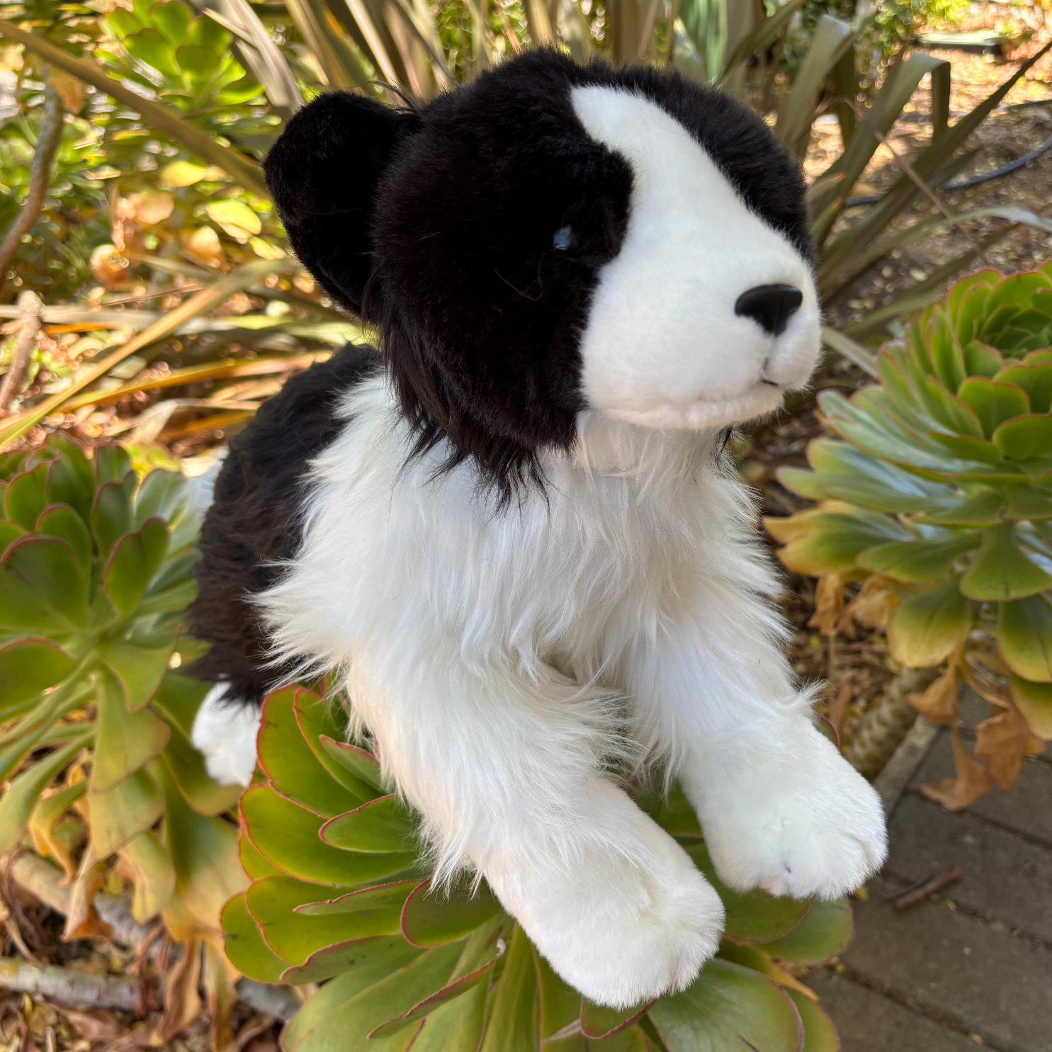 Brave Border Collie | Little Paws Plushies | Little Paws