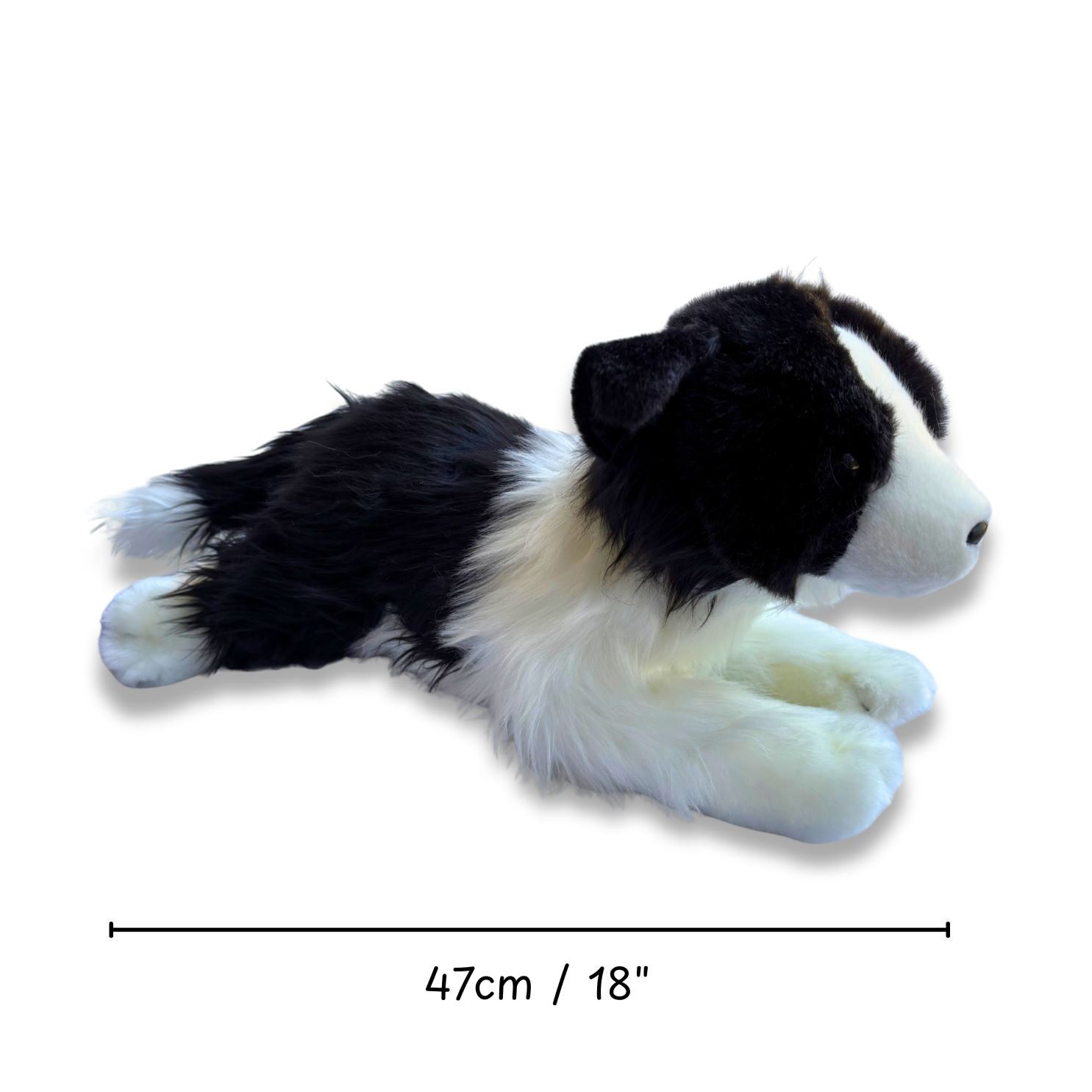 Brave Border Collie | Little Paws Plushies | Little Paws