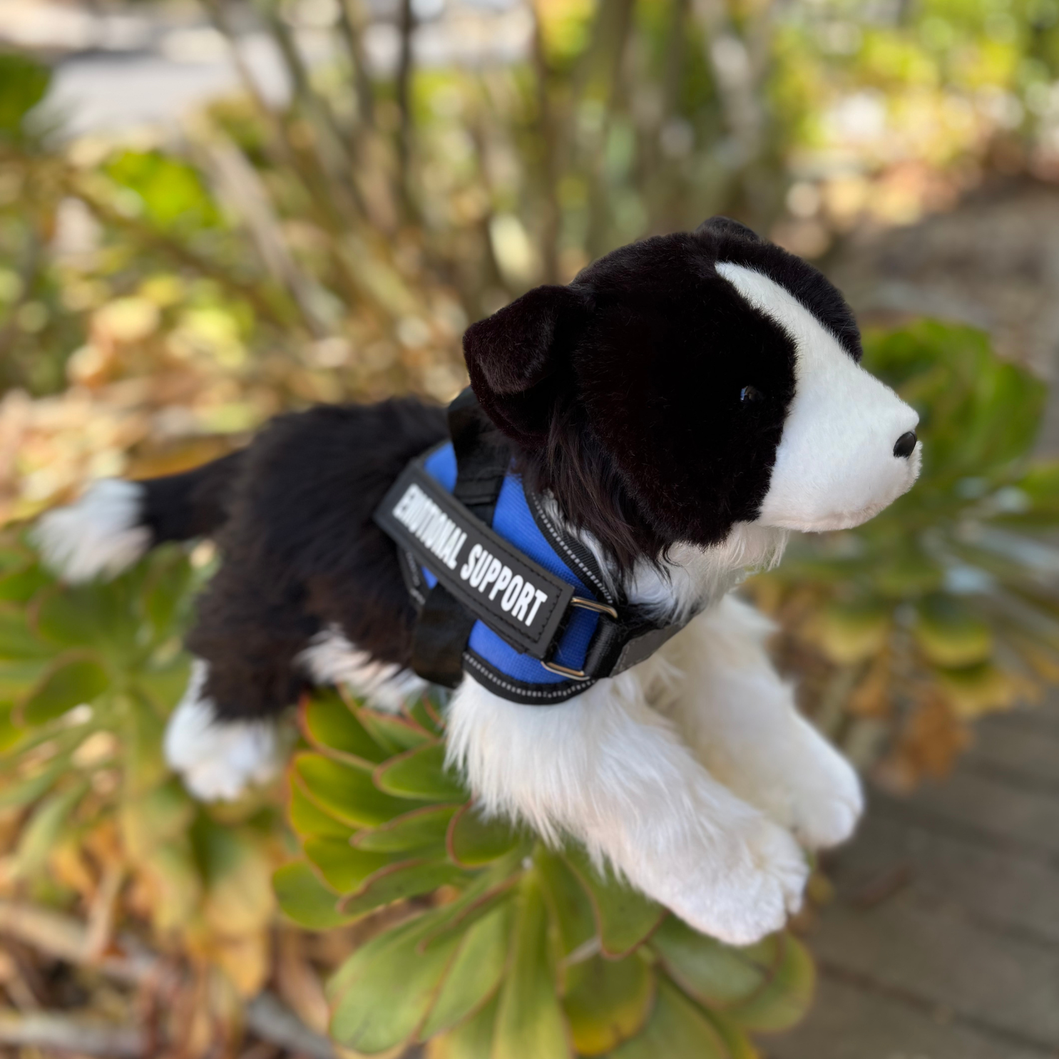 Brave Border Collie | Little Paws Plushies | Little Paws