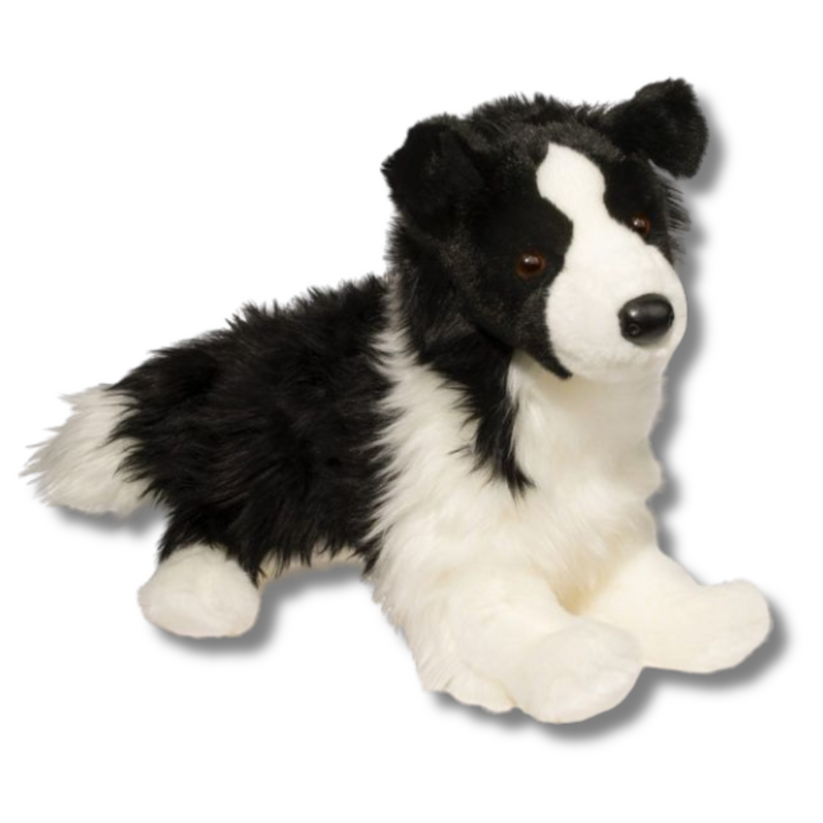 Chase Border Collie | Douglas Dog | 16