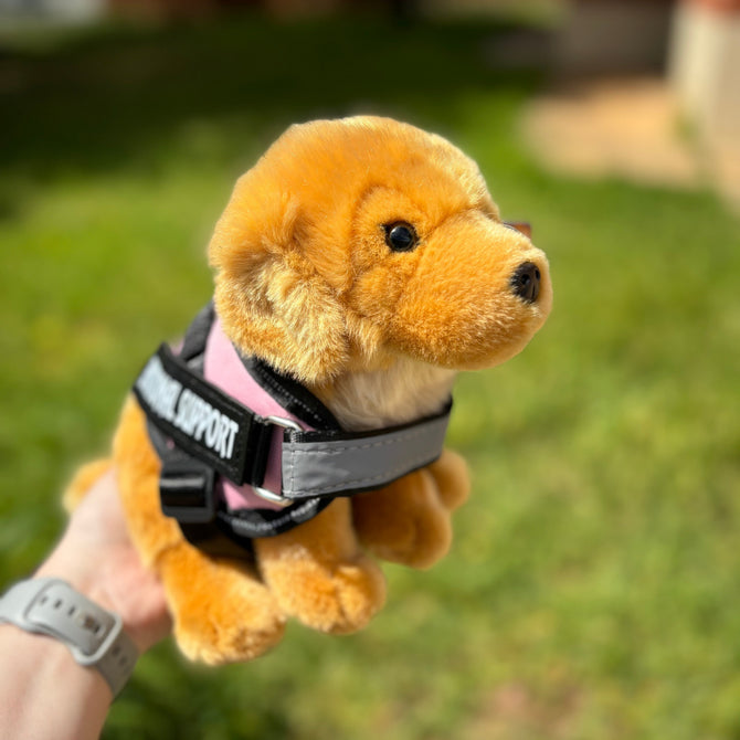 All Plushies – Little Paws Plushies